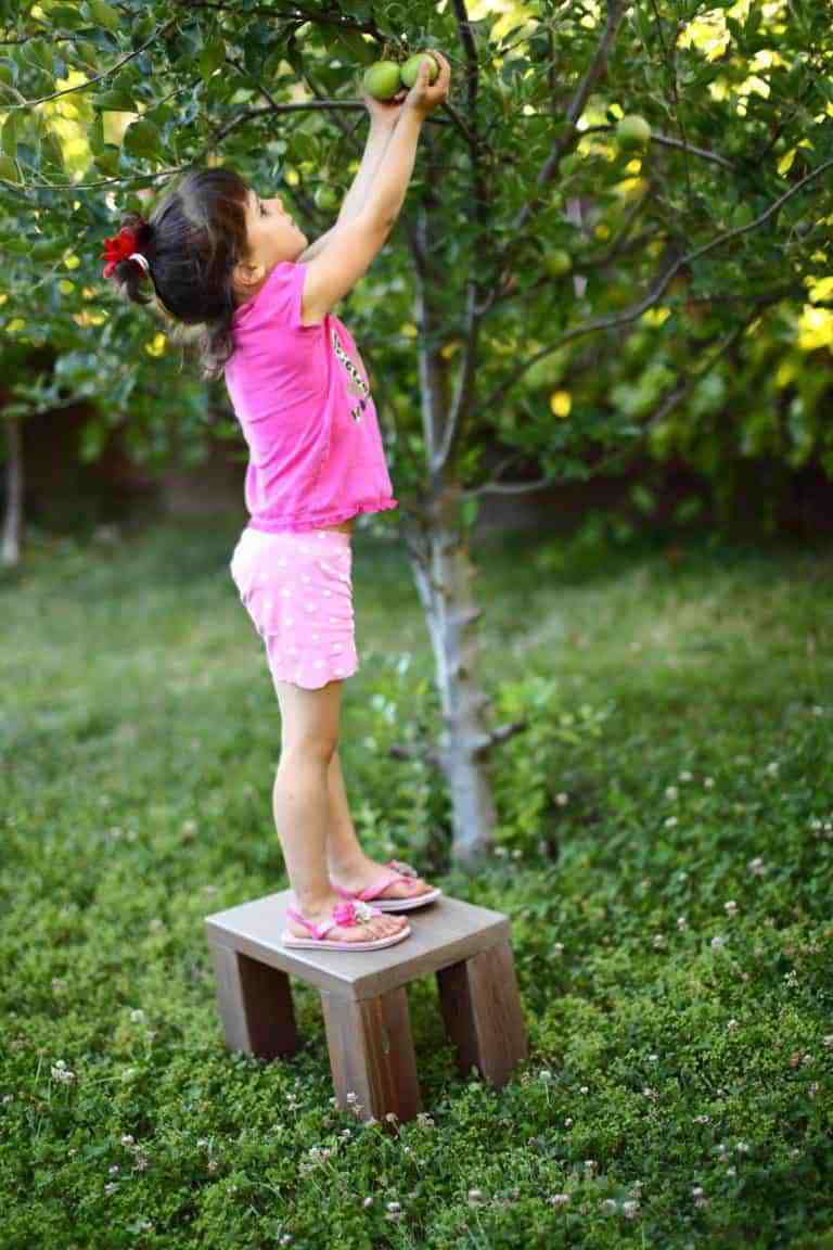 How to Build a DIY Step Stool for Kids - TheDIYPlan