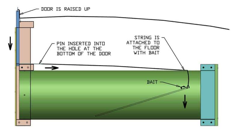 How to Build a DIY Skunk Trap Using a Form Tube - TheDIYPlan
