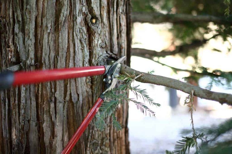 How to Make a DIY Zipline in Your Backyard - TheDIYPlan
