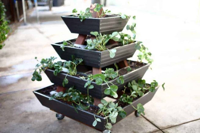 How to Build a DIY Gutter Planter (Pyramid) - TheDIYPlan