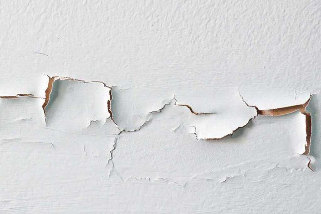 Why Is Paint Peeling Off Drywall TheDIYPlan